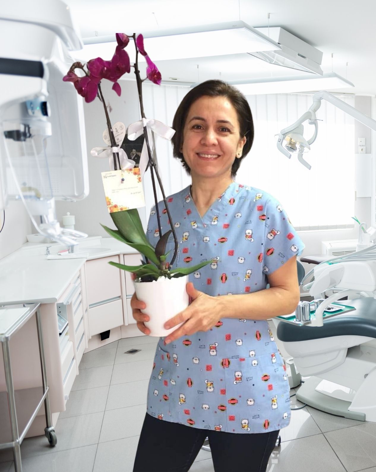 Hizmetlerimiz - Diş Hekimi Filiz Yamaner